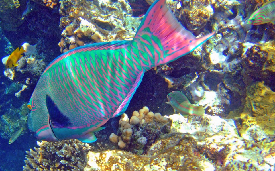 Sharm El Sheik August 2007